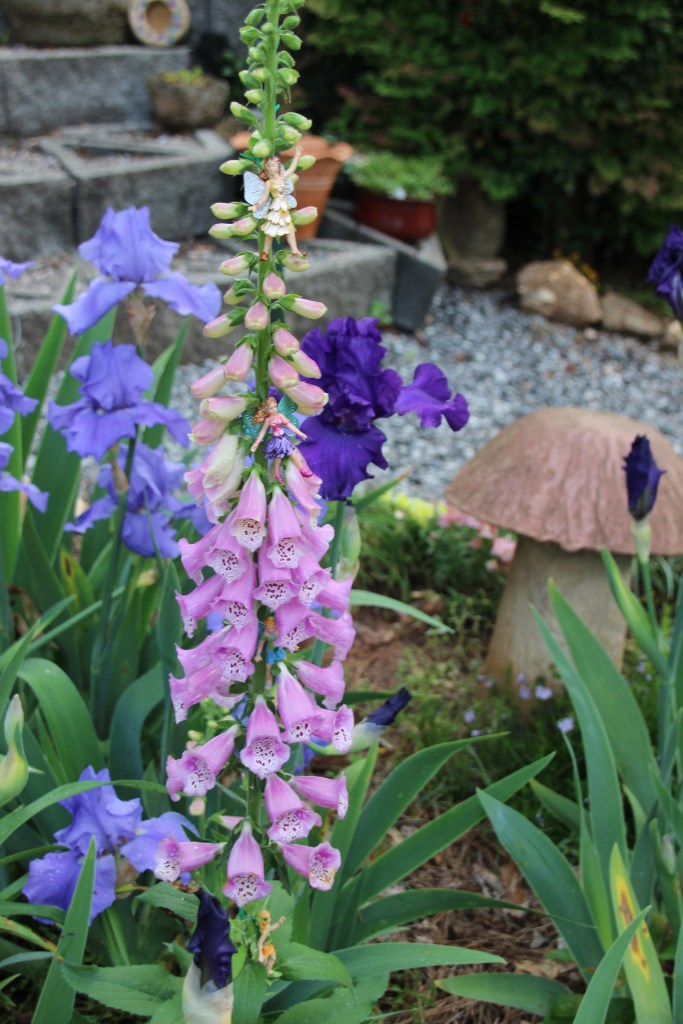 The Most Magical Plant of All – floweralley