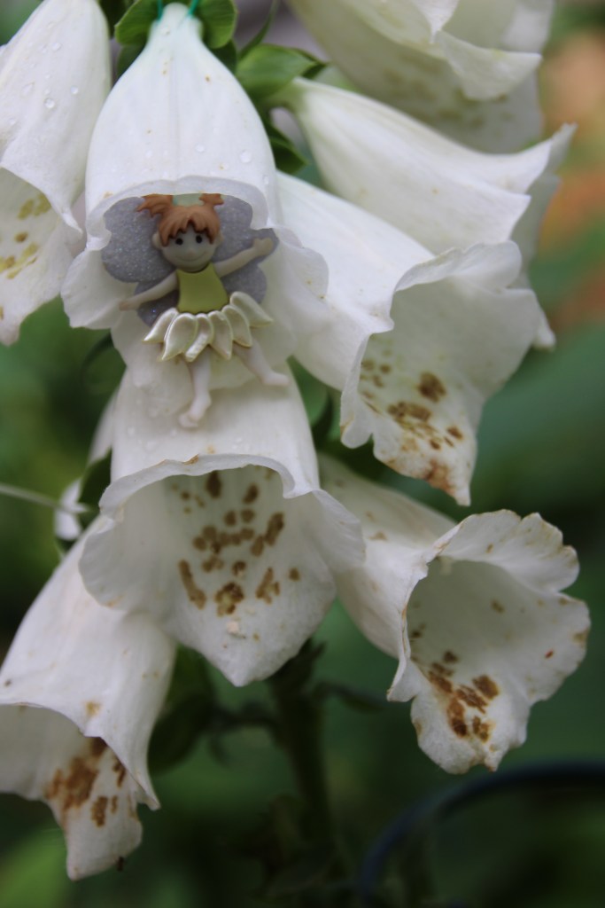 The Most Magical Plant of All – floweralley