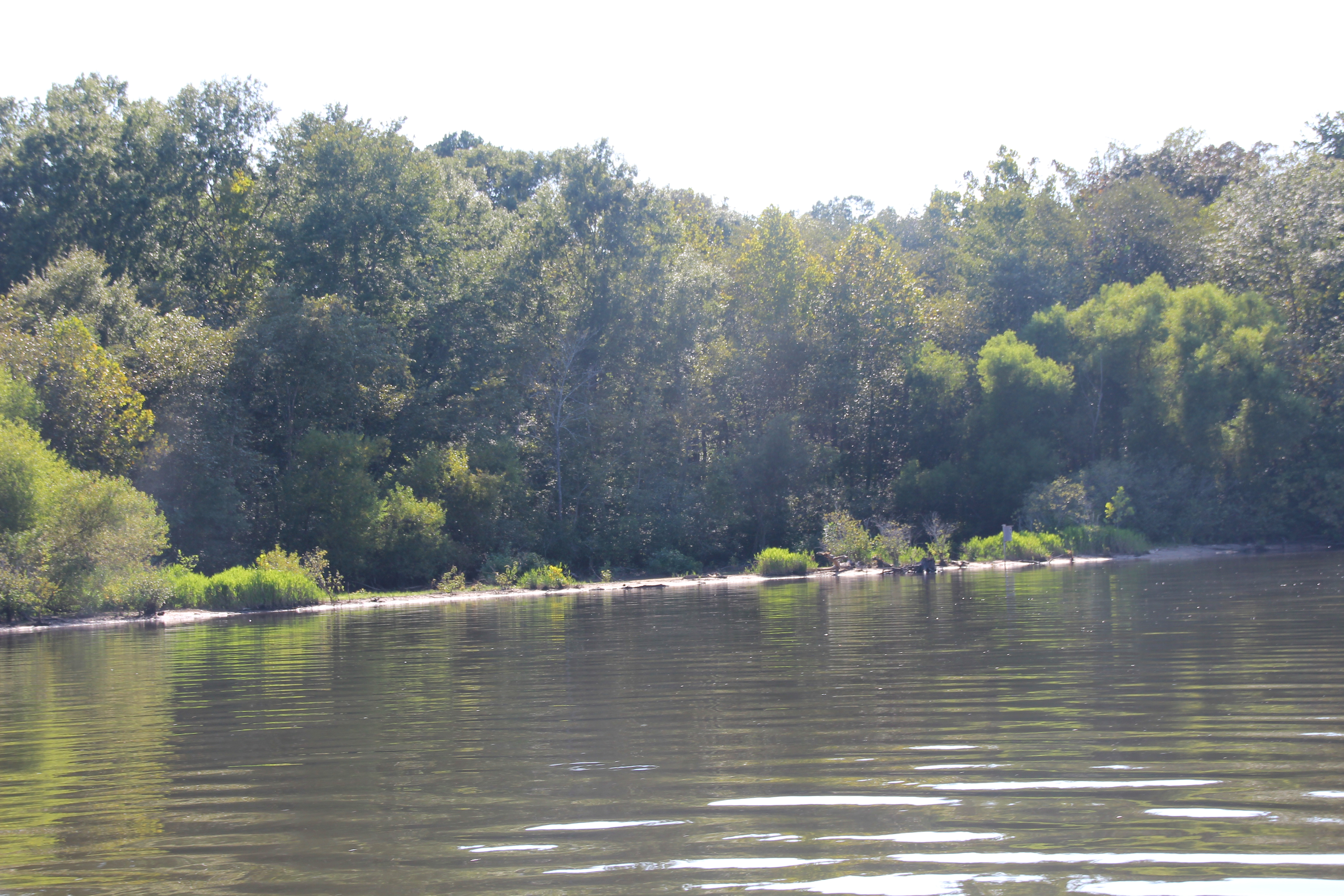 Up River – floweralley