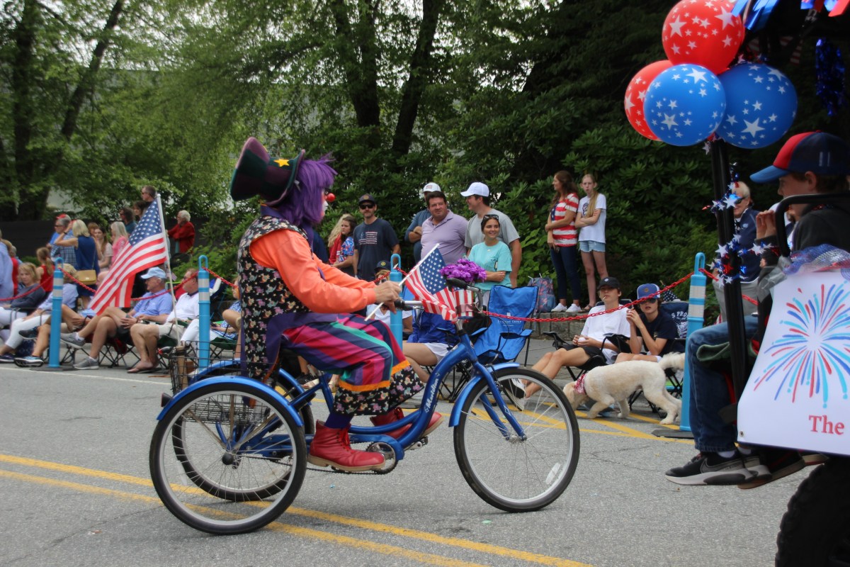 The Sparks in the Parade – floweralley